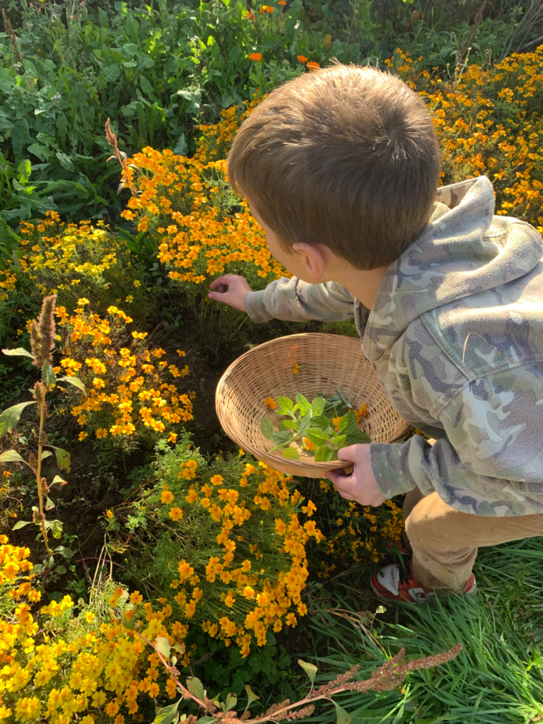 Stages Carnaval 2023 - Parc naturel du Pays des Collines