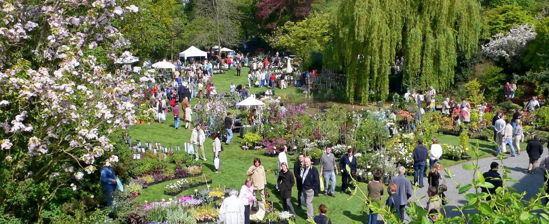 Fête des Plantes - Celles - Parc naturel du Pays des Collines